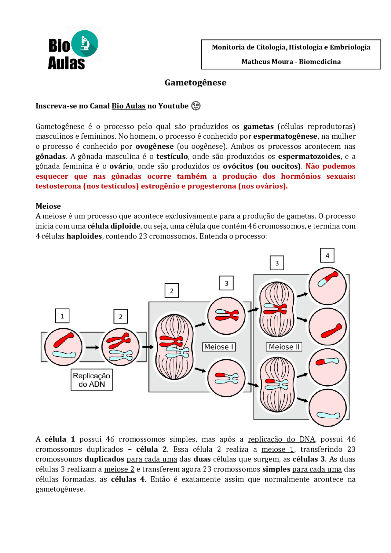 Embriologia Gametogênese Docsity