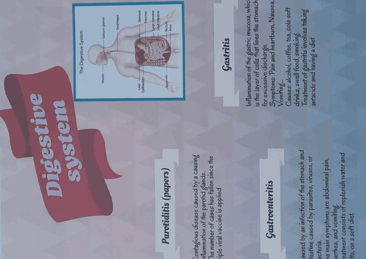 Digestive System (English and Biology) - Docsity