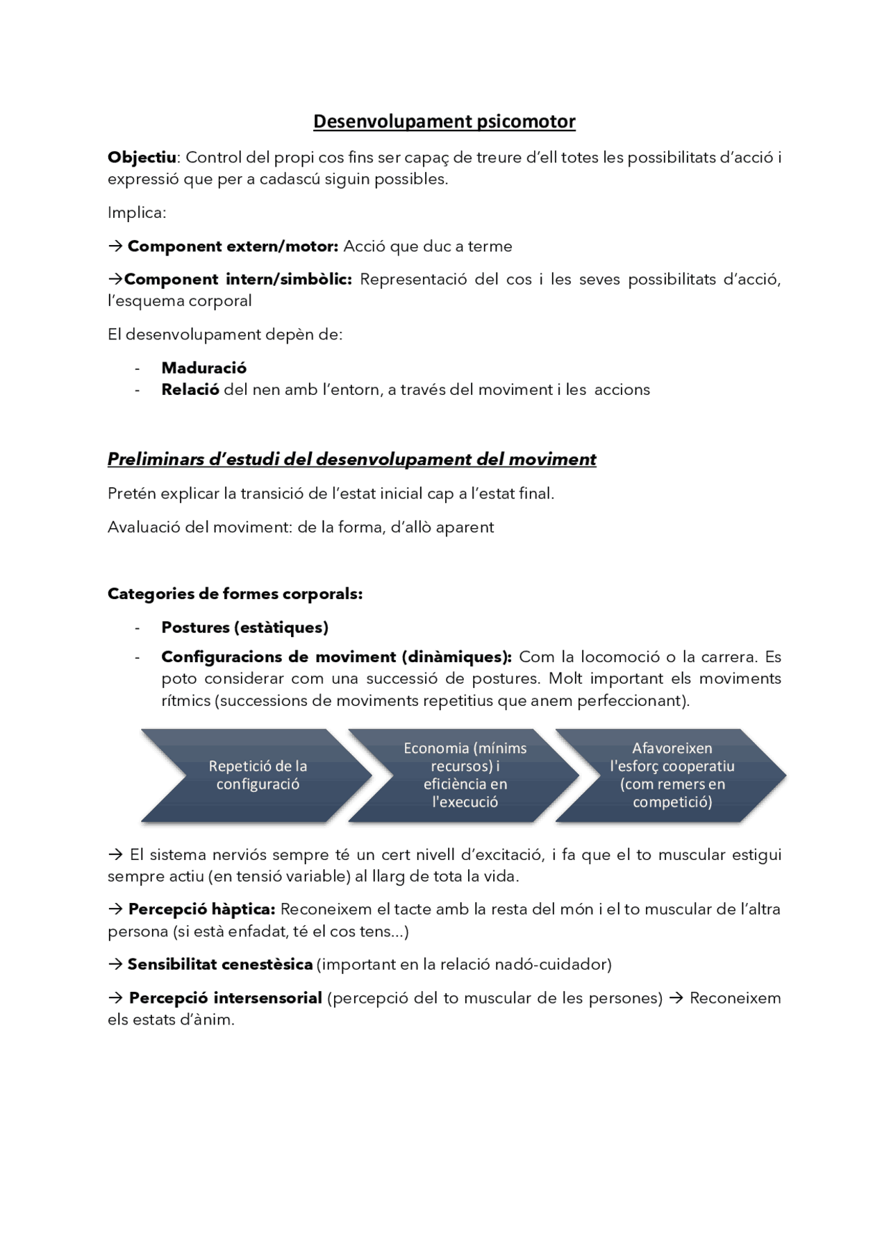 Desenvolupament Psicomotor Apuntes De Desarrollo Infantil Docsity
