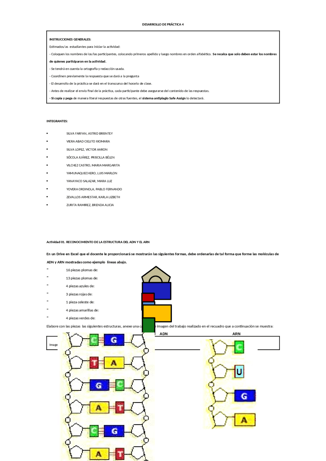 Guia practica N°4- Tema clase del ADN Y ARN - Docsity