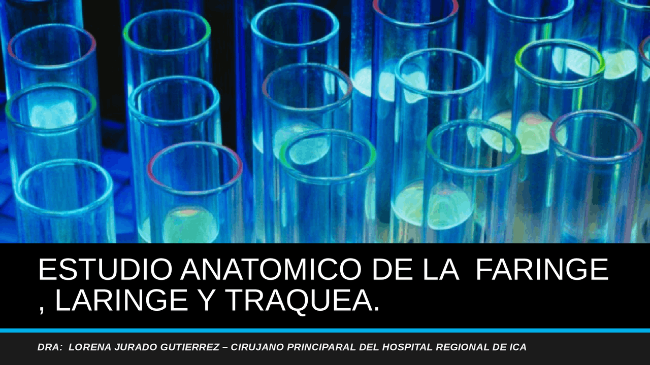Faringe Laringe Anatomia Docsity