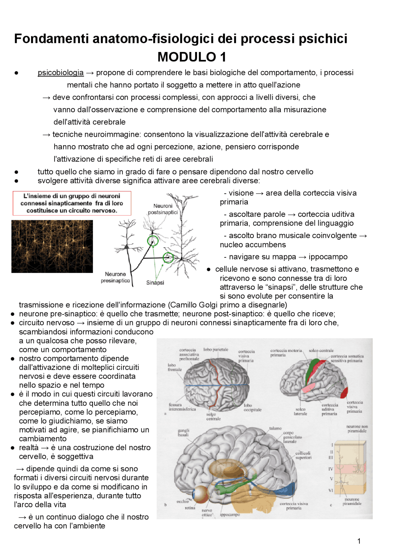 Primo Modulo Fondamenti Docsity