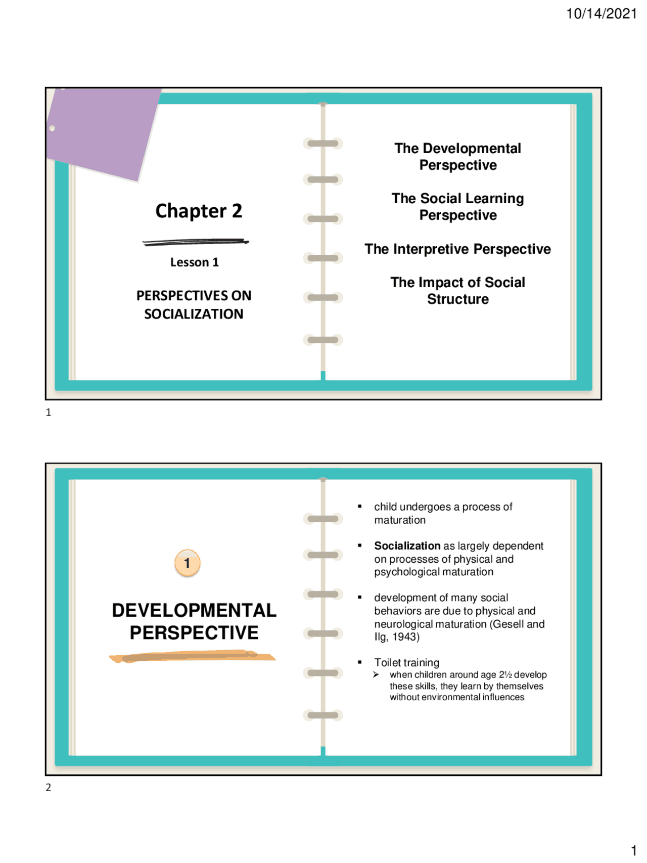 Perspectives On Socialization Docsity