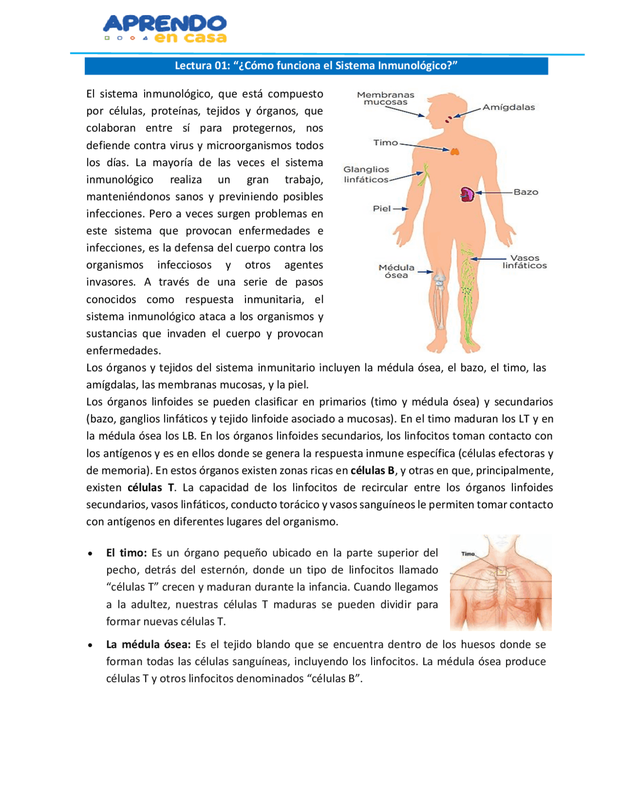 Sistema Docsity
