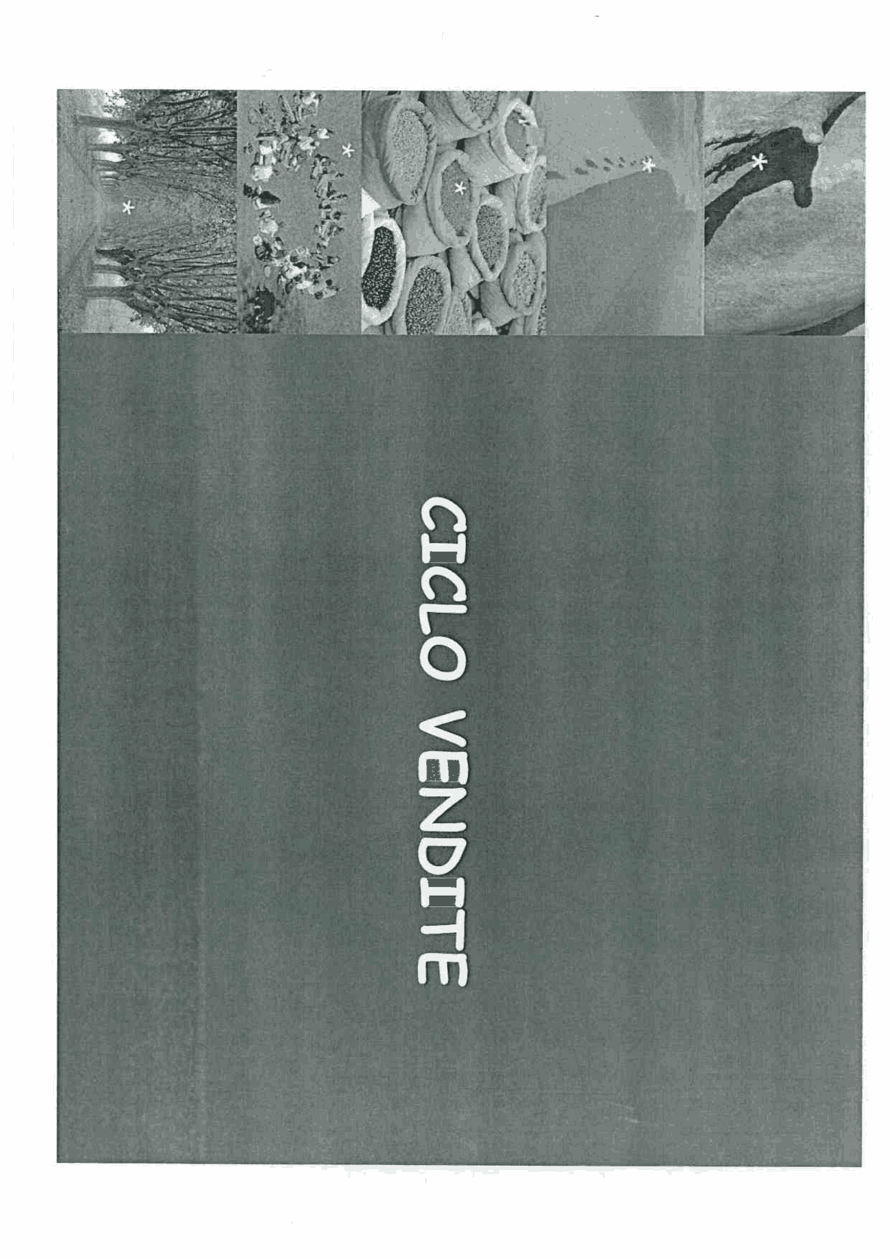 Ciclo Vendite Uni Parthenope Docsity