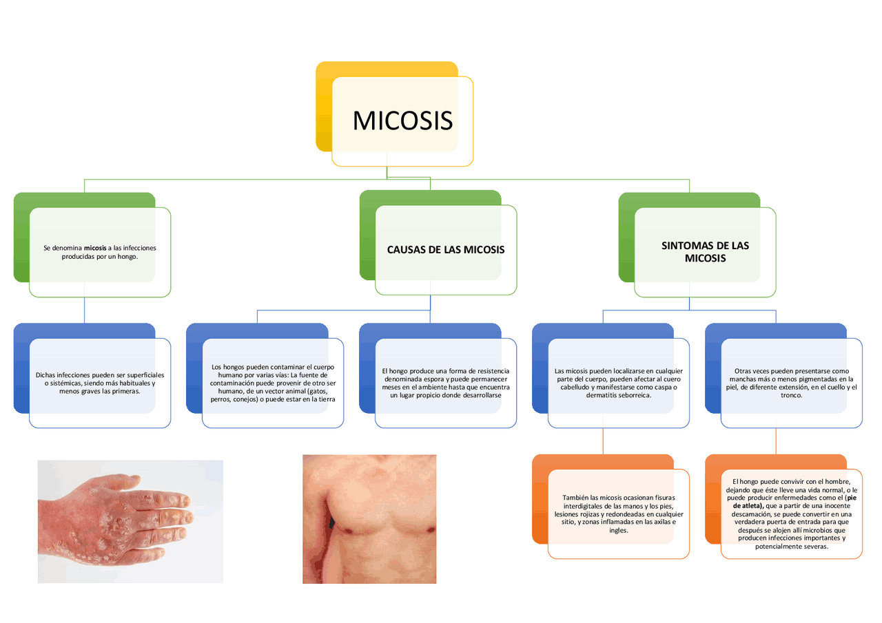Micosis-Definición-Tratamiento - Docsity
