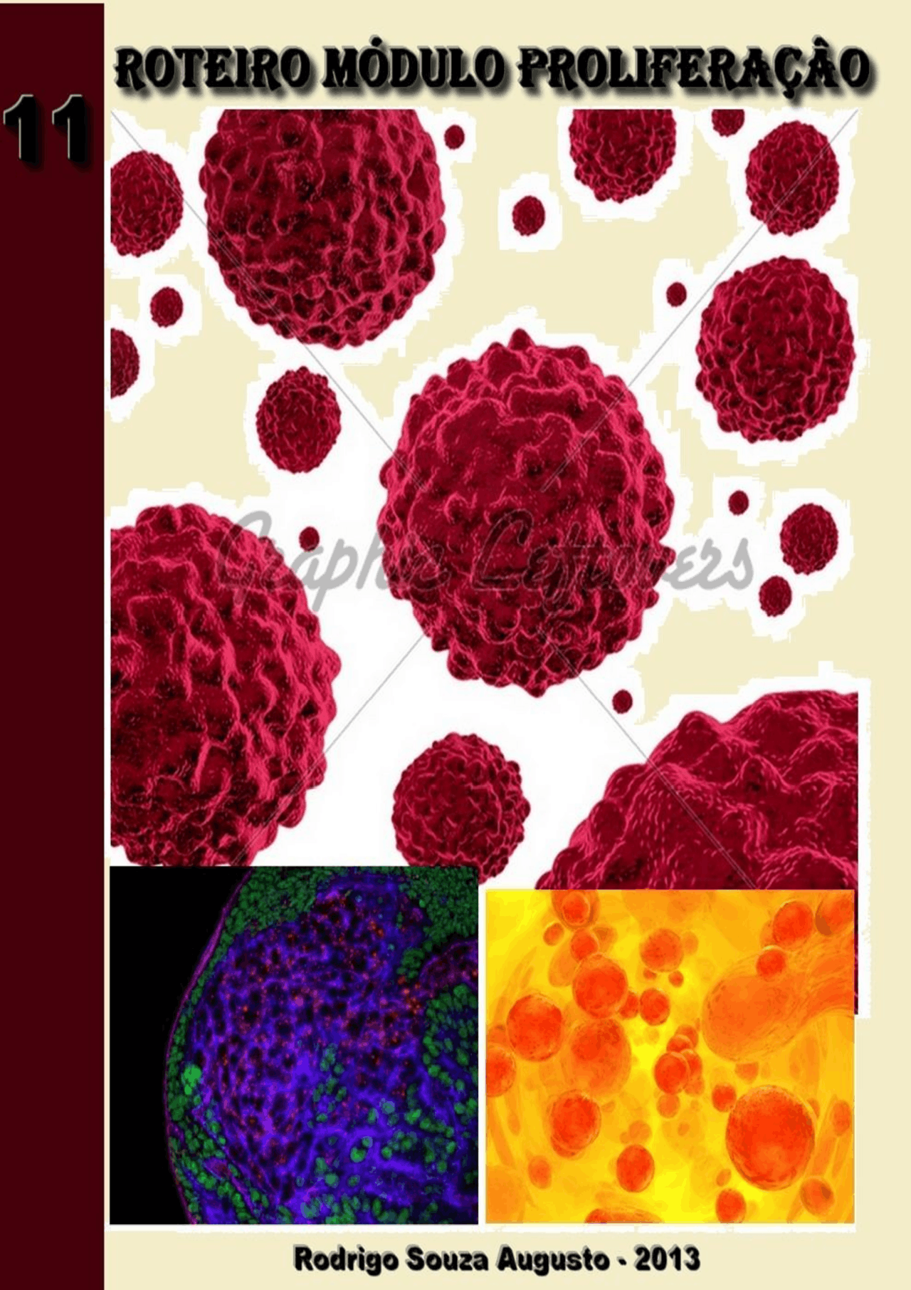 Proliferação celular - Docsity