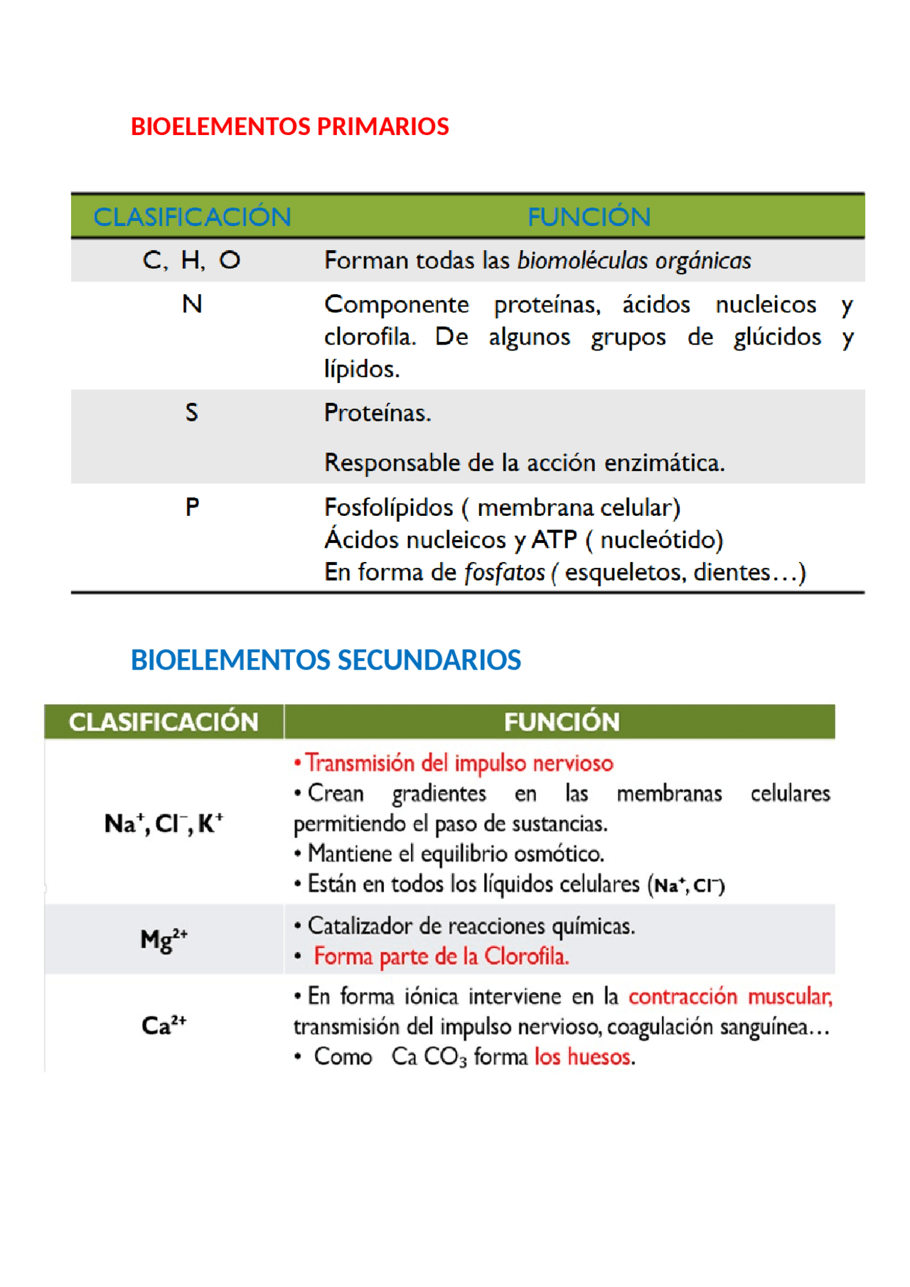 Funciones bioelementos primarios - Docsity