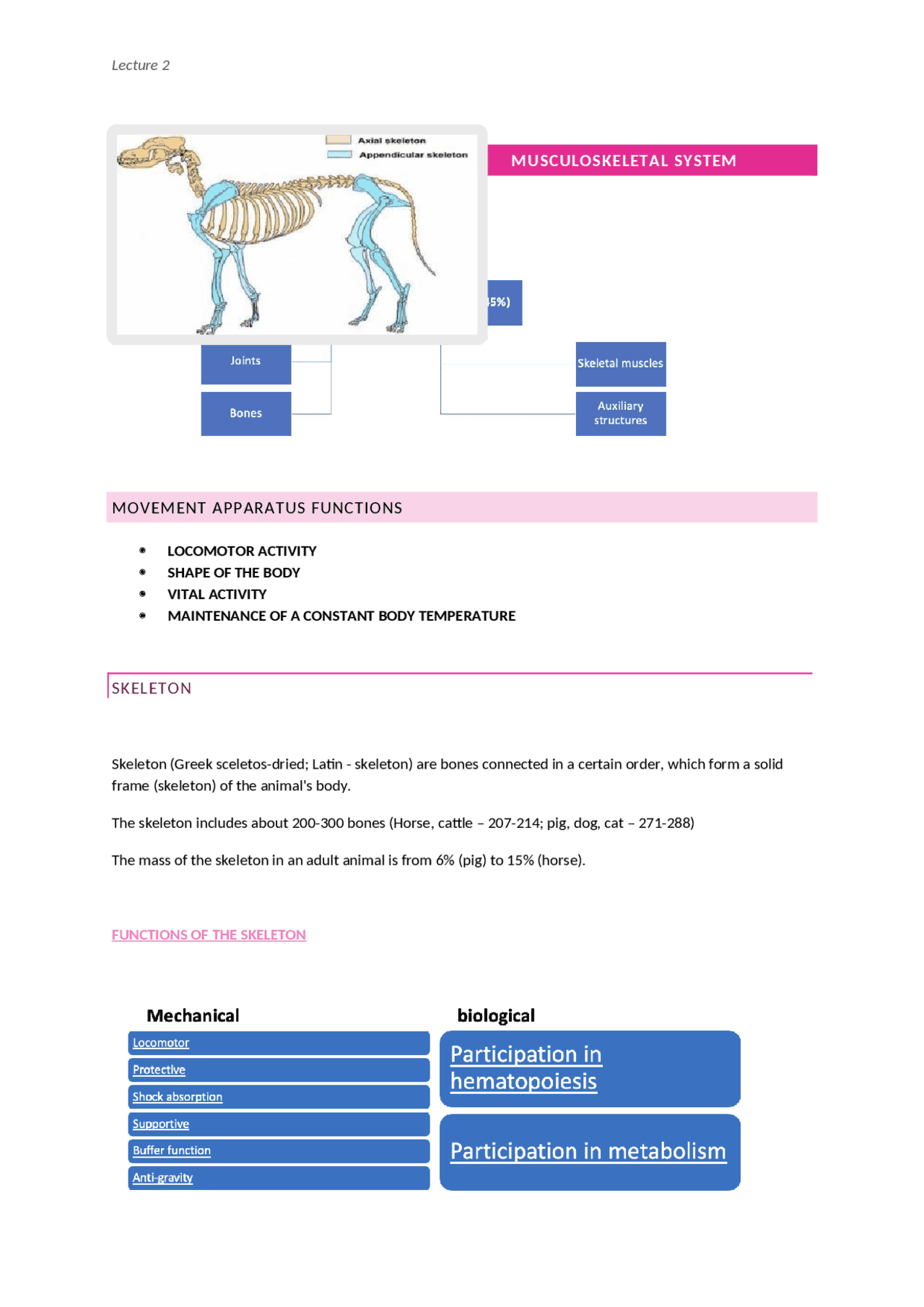 Musculoskeletal system of animal anatomy - Docsity