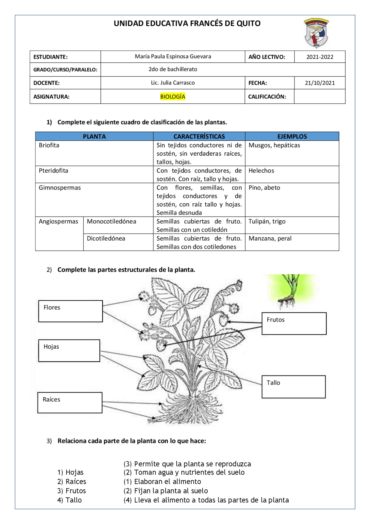 Estructura y partes de la planta - Docsity
