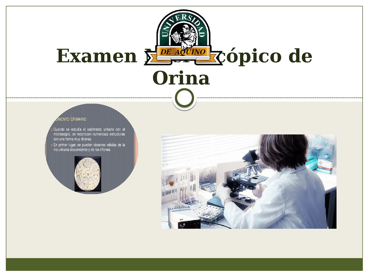 Examen microscópico de orina - Docsity