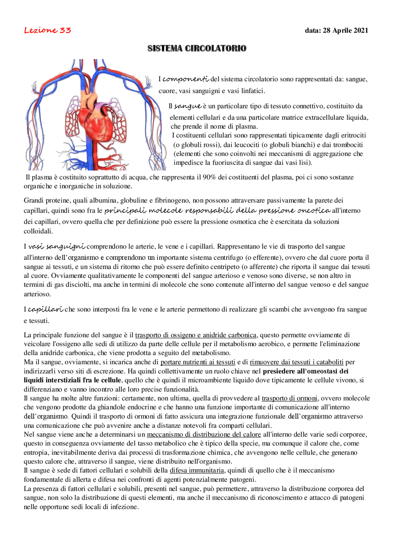 Sistema Circolatorio Docsity