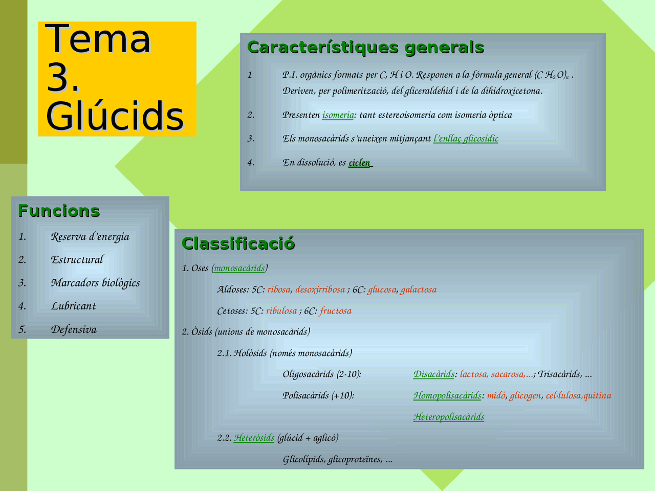 Glúcidos Apuntes Selectividad Diapositivas De Biología Docsity
