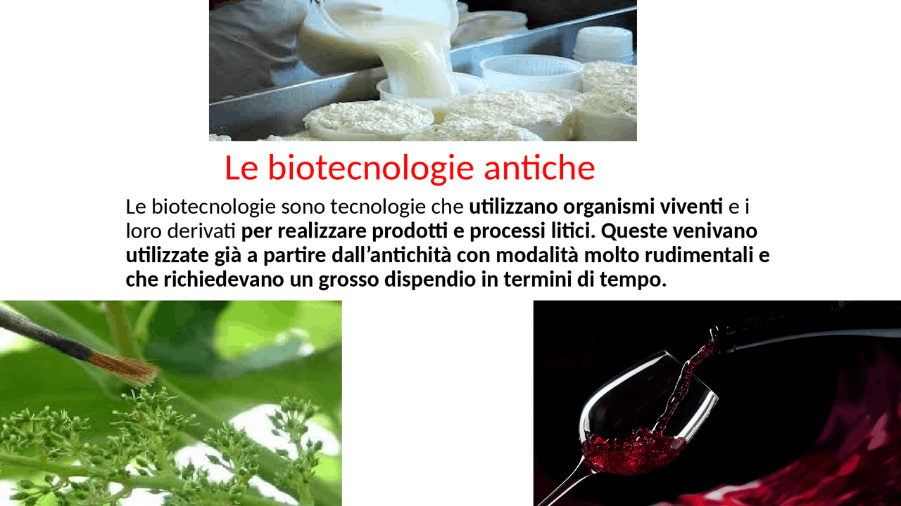 Biotecnologie Antiche E Moderne Docsity