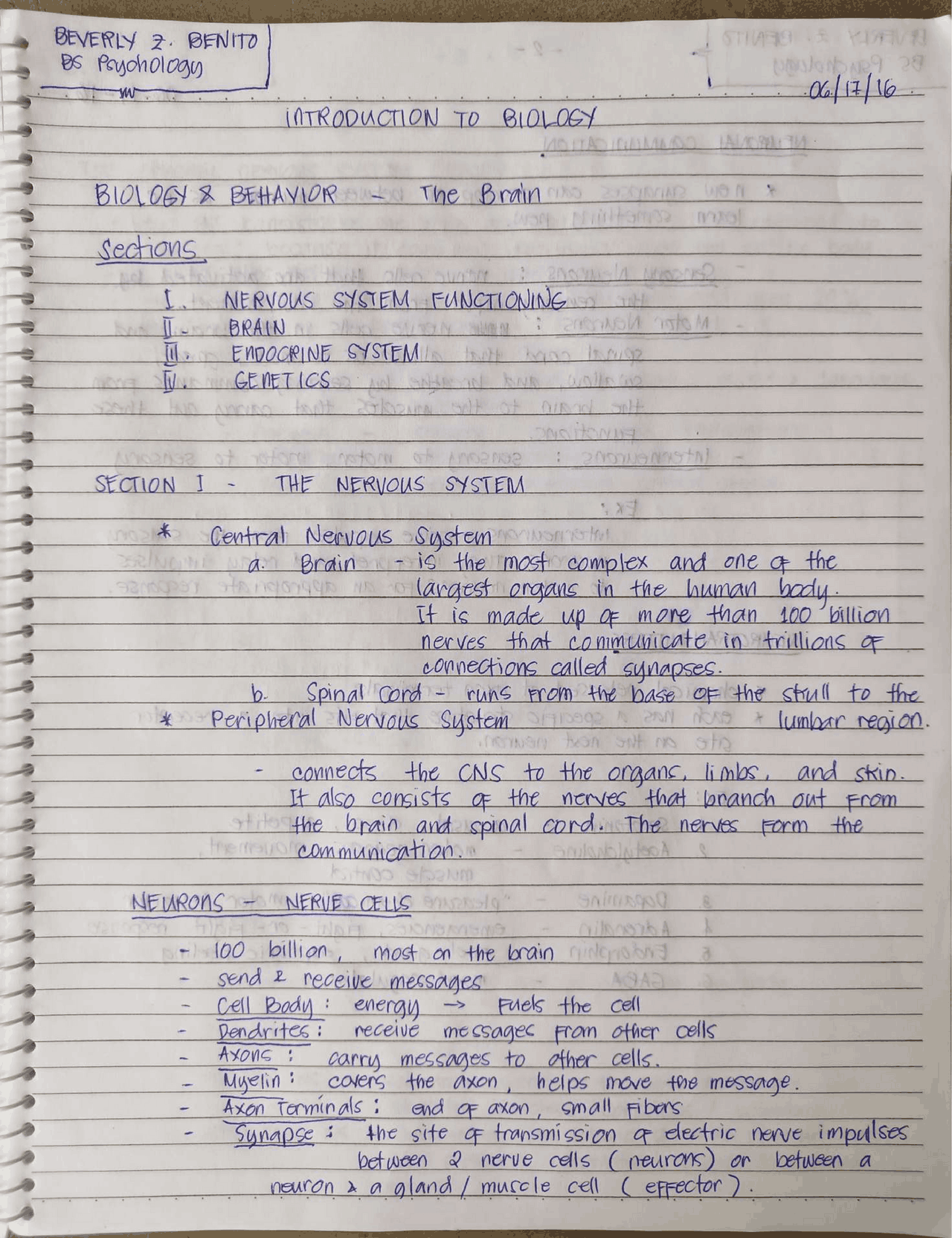 General Biology Cns Brain Lecture Notes Biology Docsity