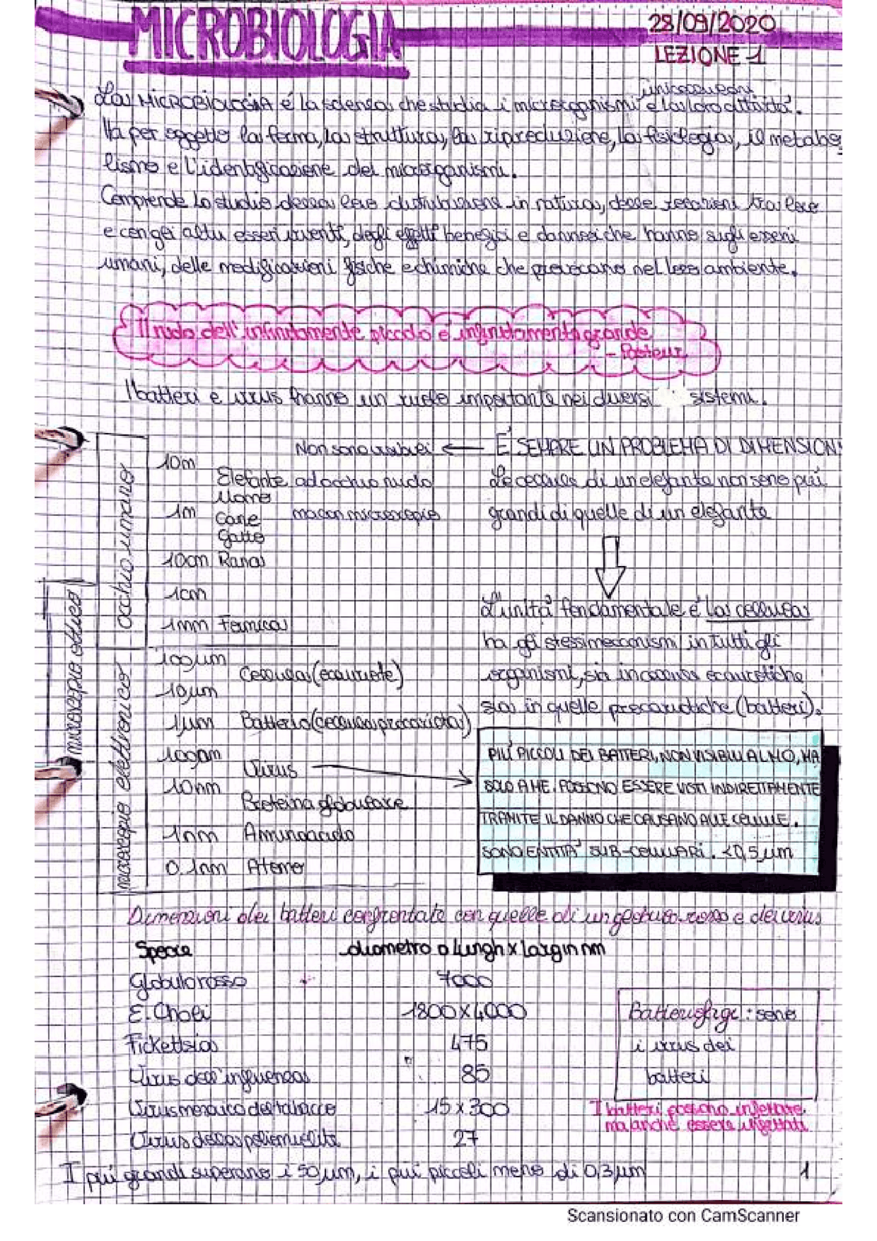 Appunti Completi Microbiologia Generale 93 Pagine Docsity