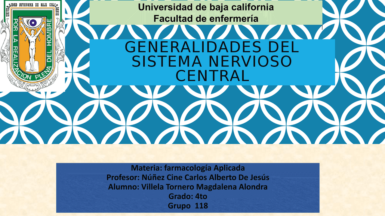 Generalidades Del Sistema Nervioso Central Docsity