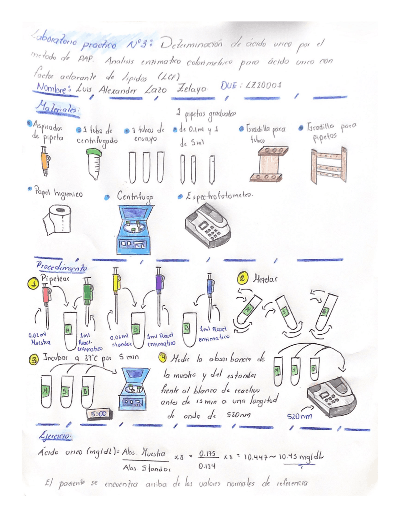 Esquema Practica De Laboratorio N°3 Docsity