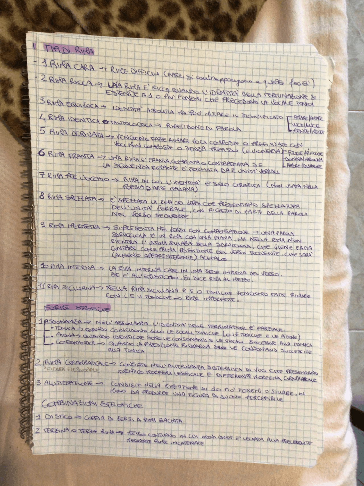 Schema rime e forme strofiche - Docsity