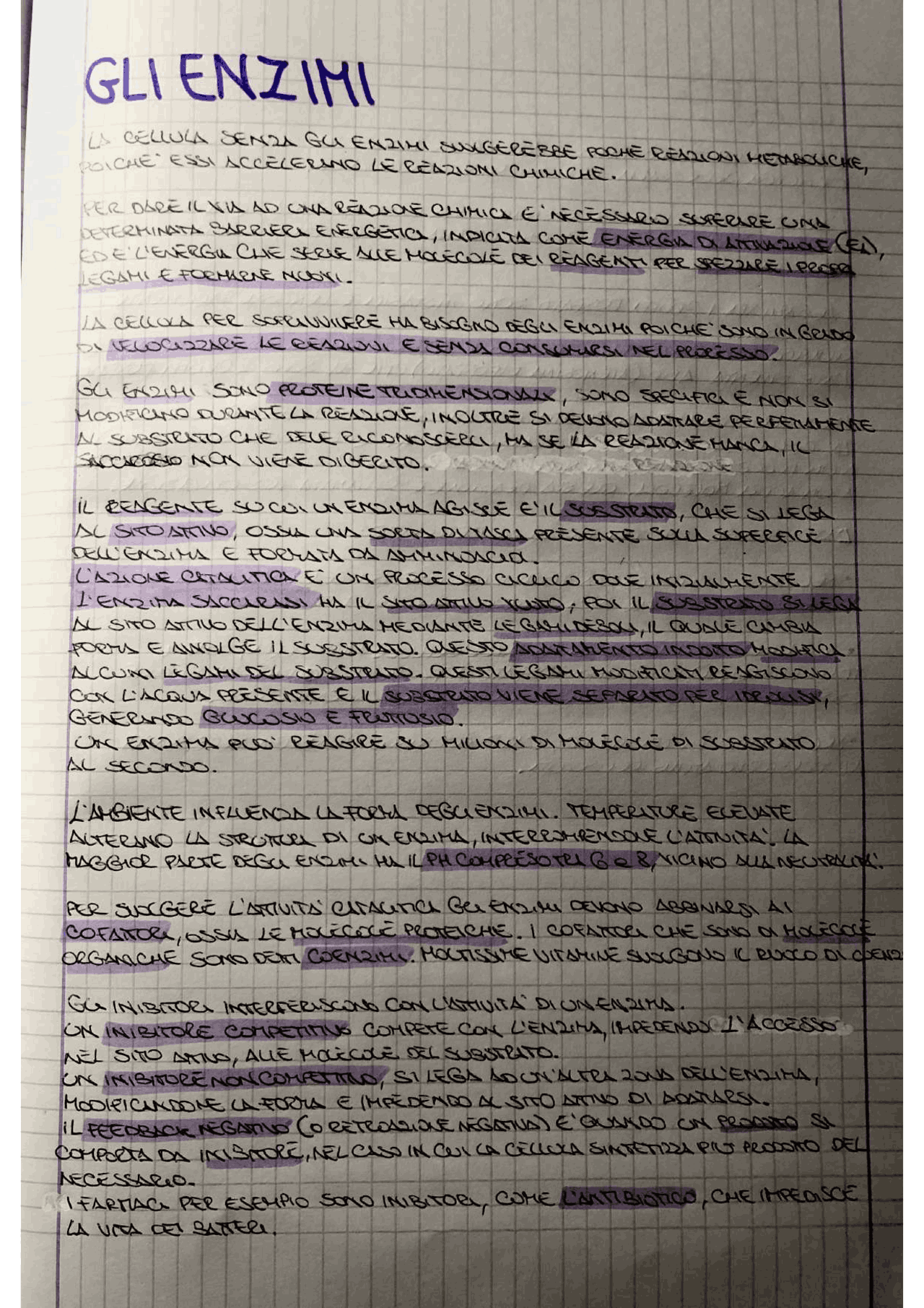 Particolari Proteine Gli Enzimi Docsity