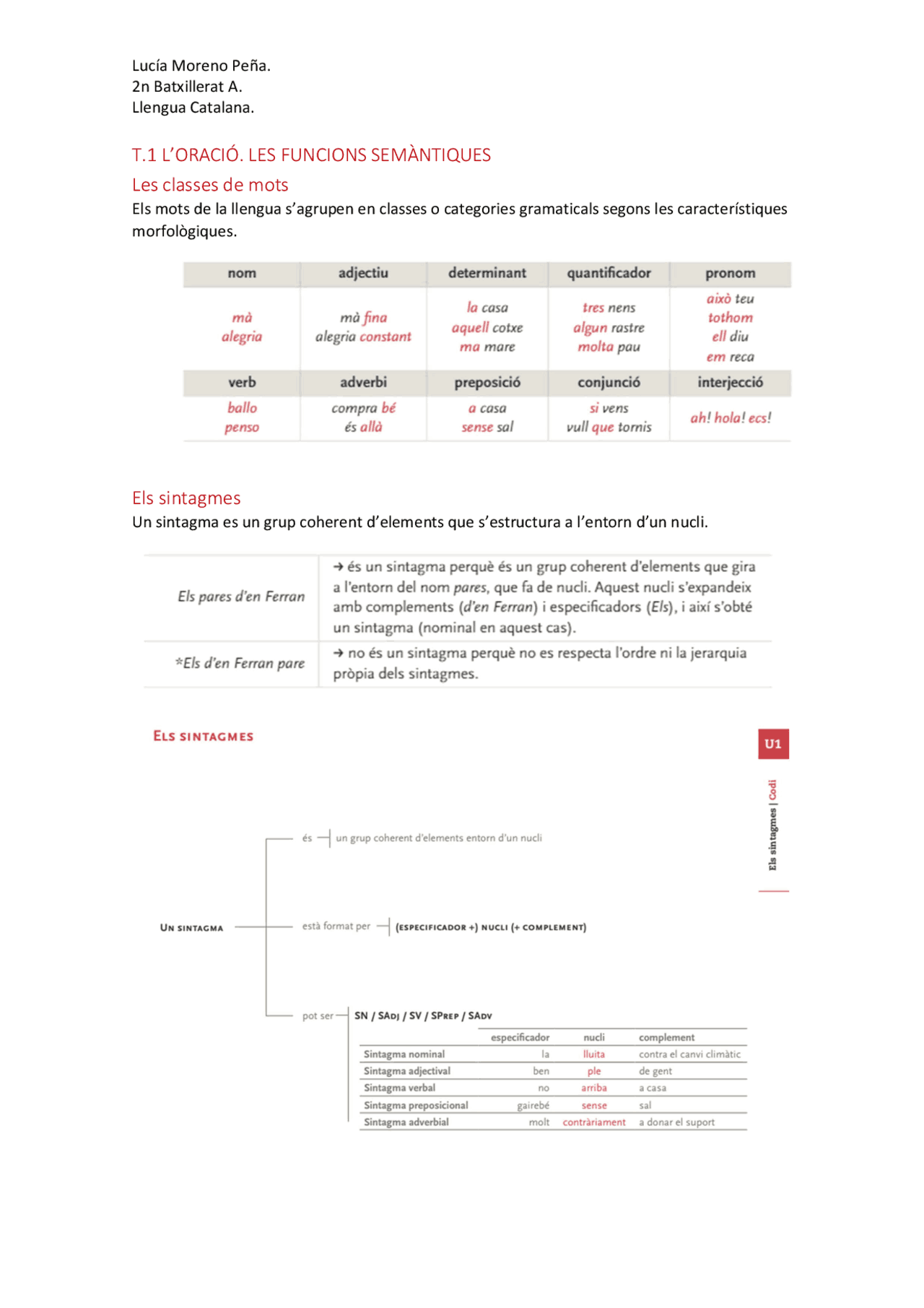 Funcions Semantiques Resúmenes De Catalán Docsity