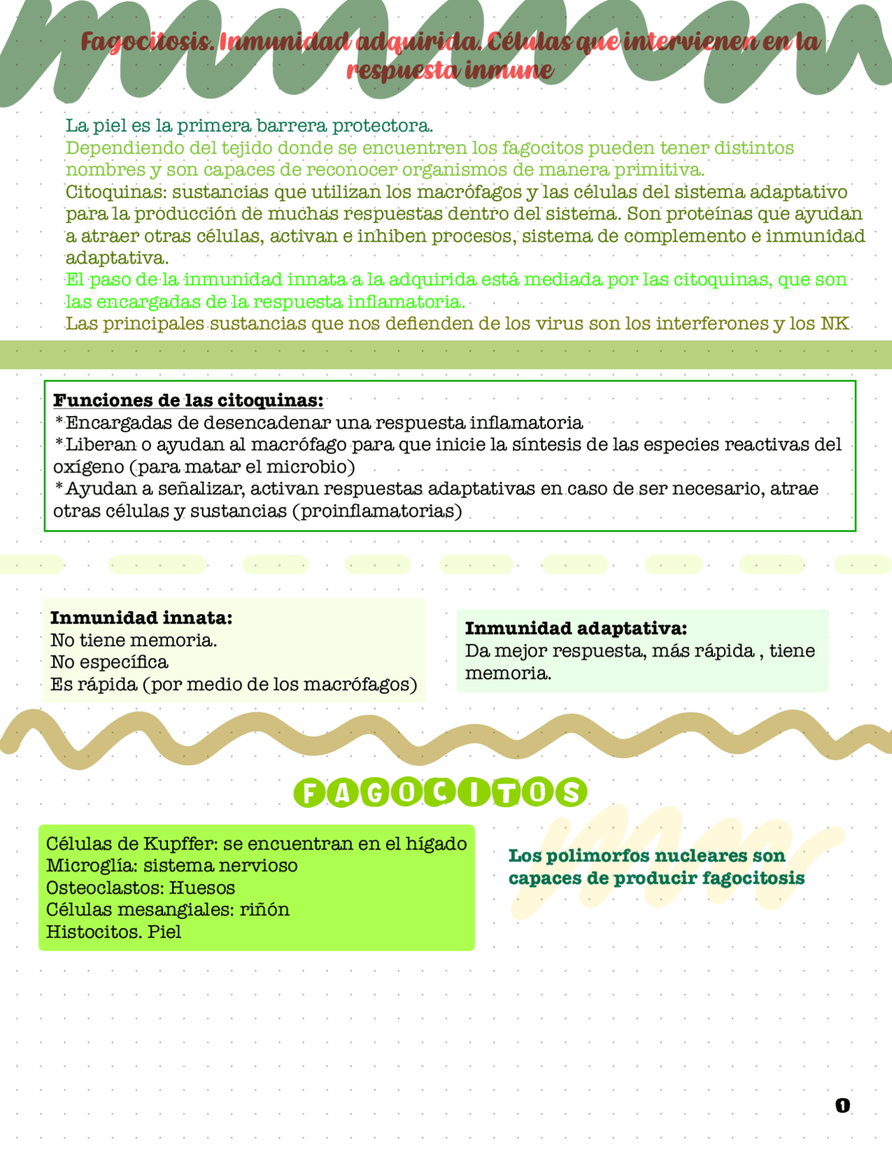 Apuntes De Inmunología Docsity
