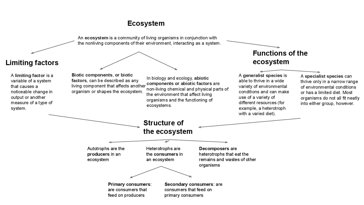 Resumen de los deberes de inglés - Docsity