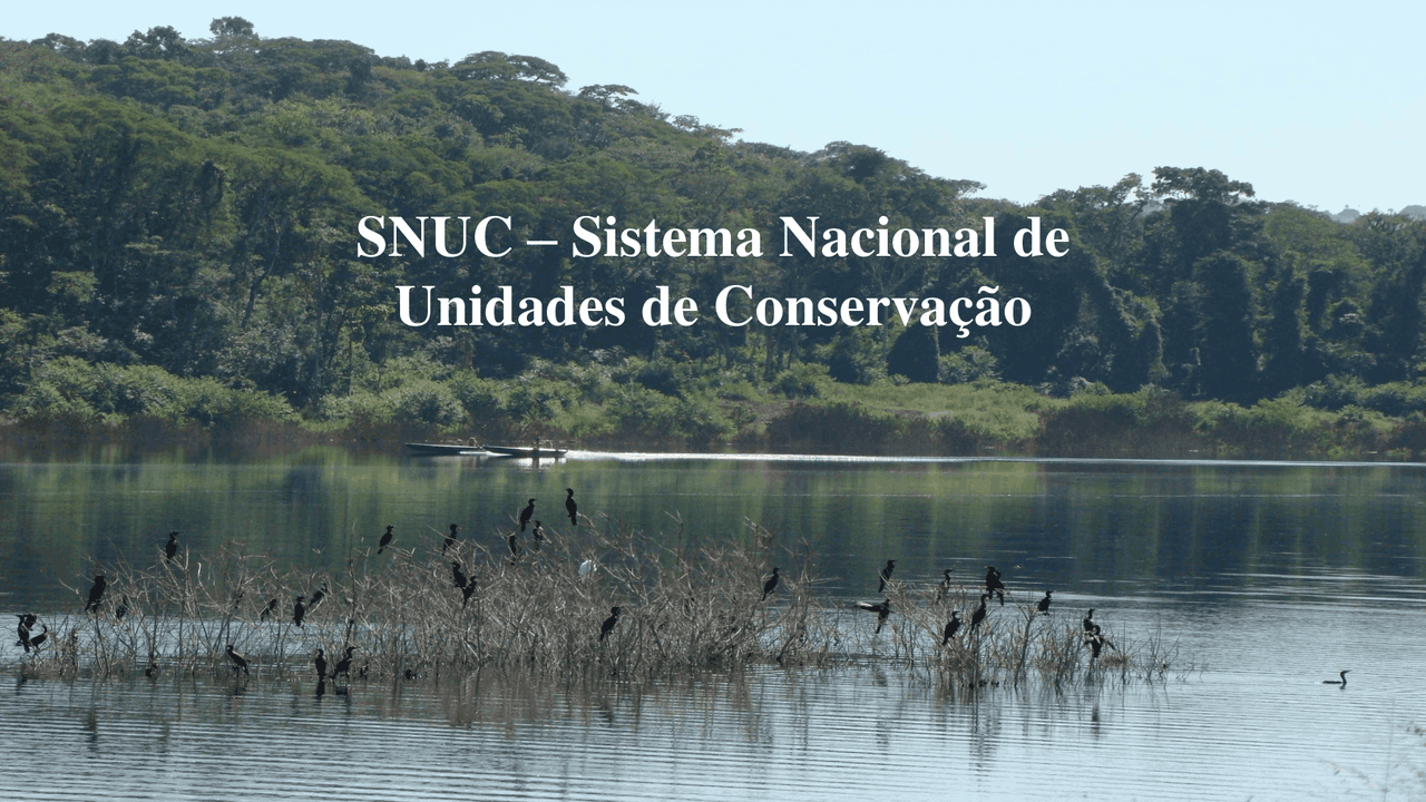 Unidade De Conservação Docsity