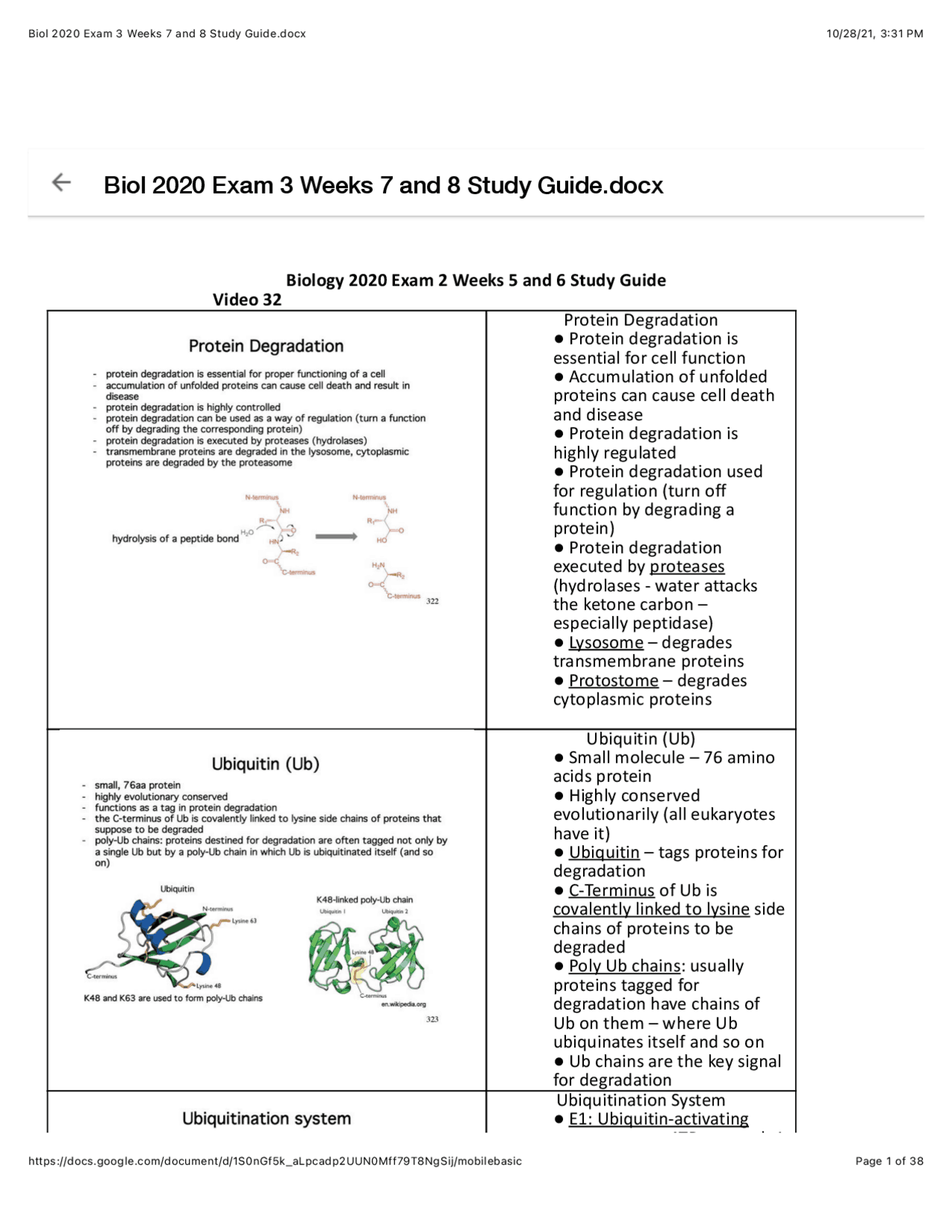 Cell Biology Exam 3 Notes | Summaries Cell Biology | Docsity