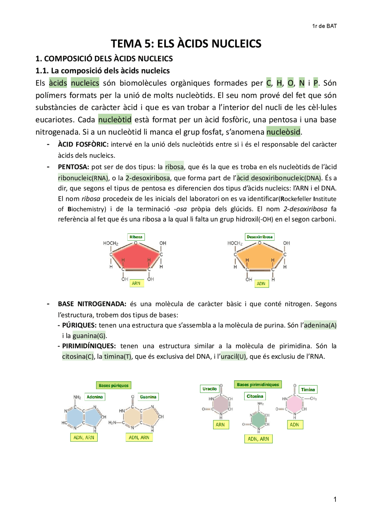 Tema 5 Àcids Nucleics Docsity