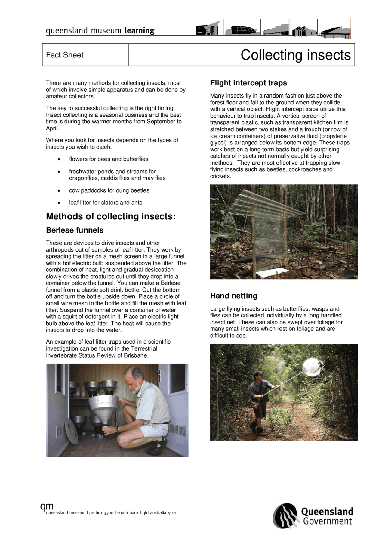 Insect collection process - Docsity