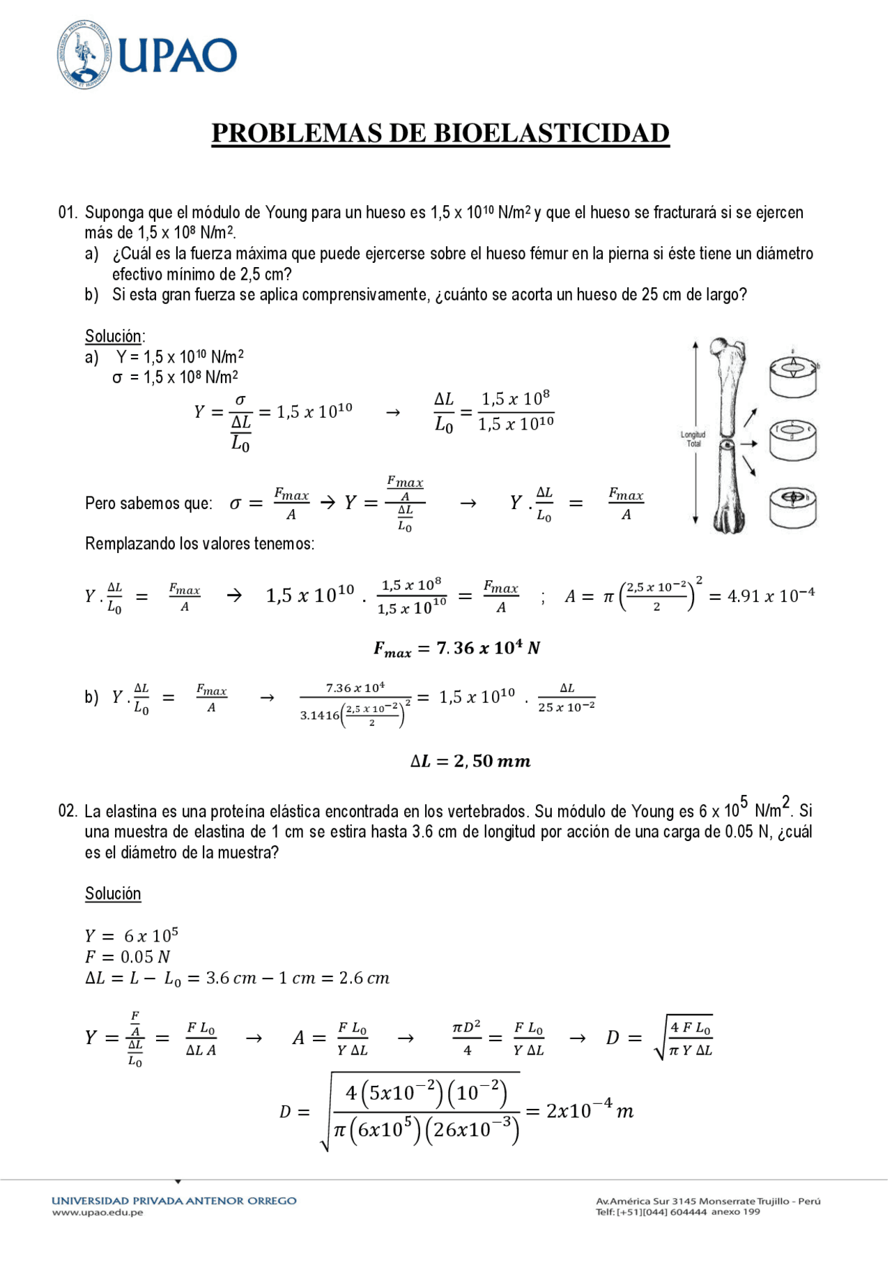 Ejercicios De Bioelasticidad Biofisica Ejercicios De Biofísica Docsity