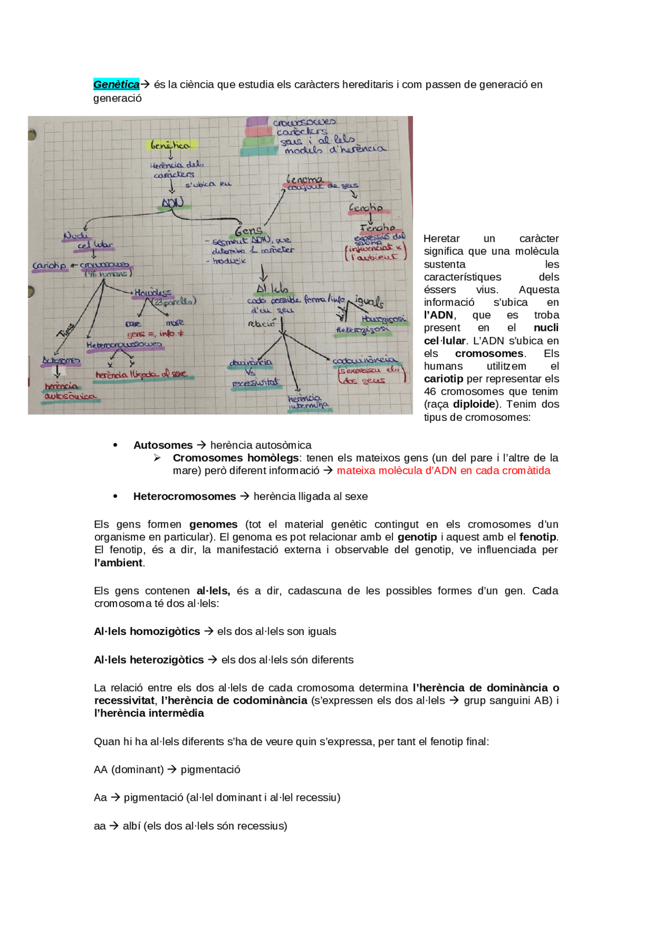 Apuntes De Genética Y Mendel Docsity