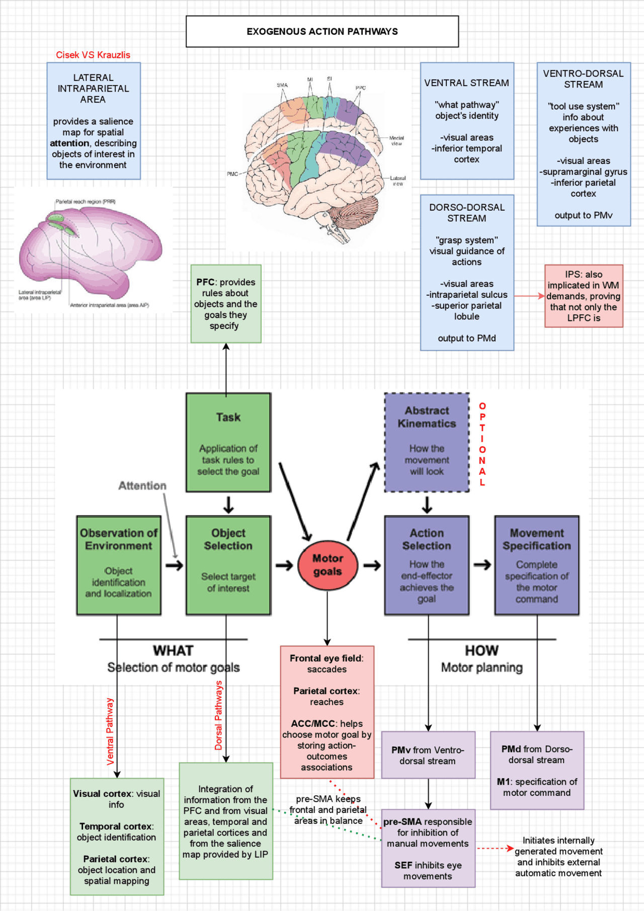 Action: schema movimento - Docsity