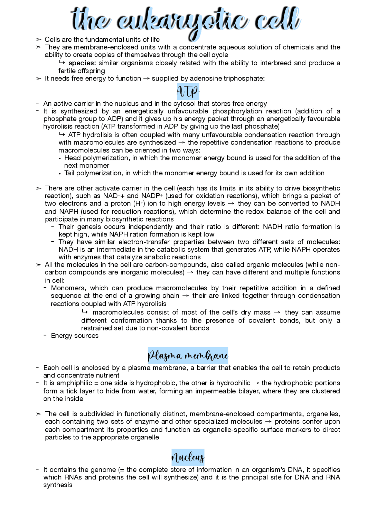 The Eukaryotic Cell Docsity