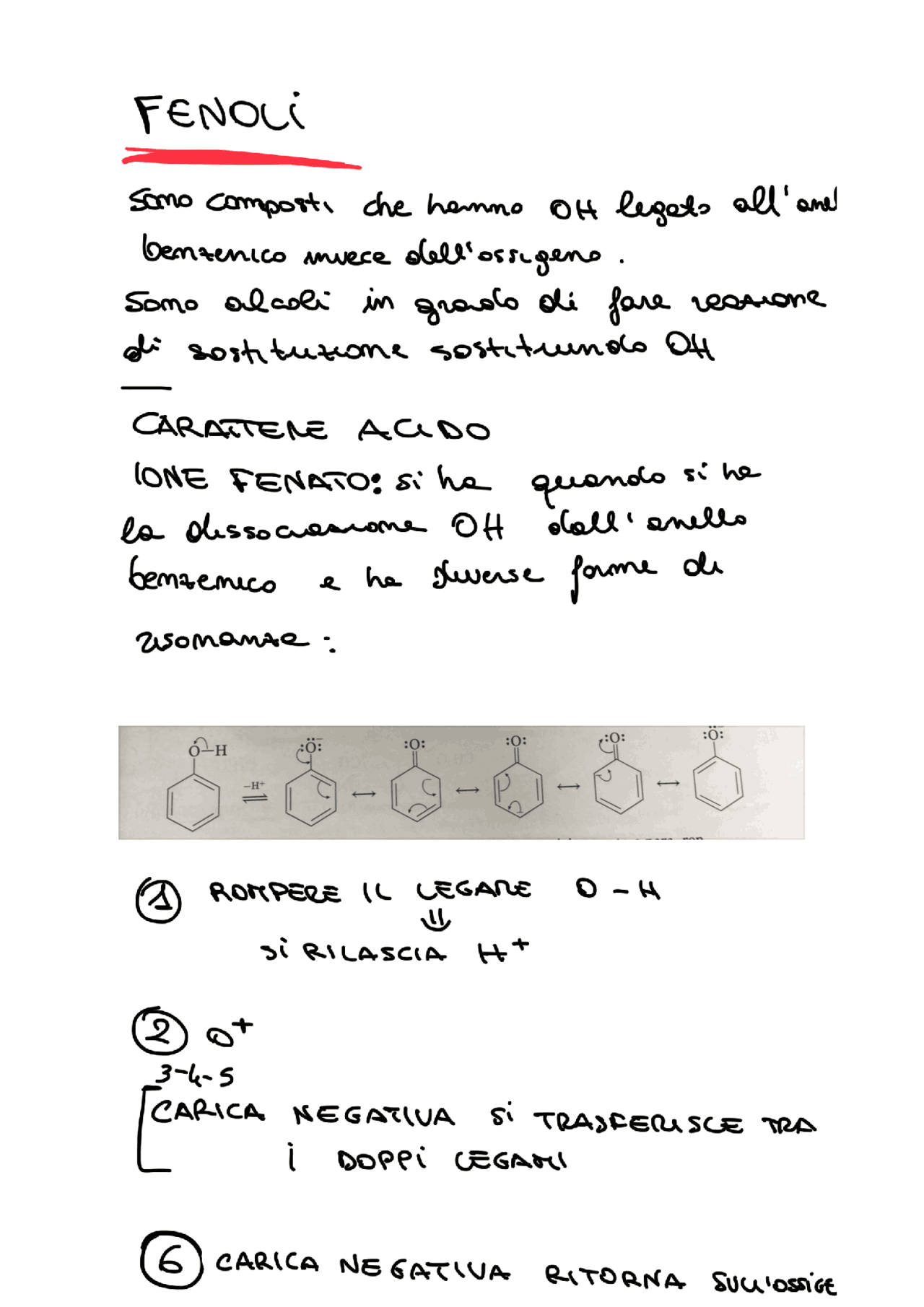 FENOLI APPUNTI CHIMICA - Docsity