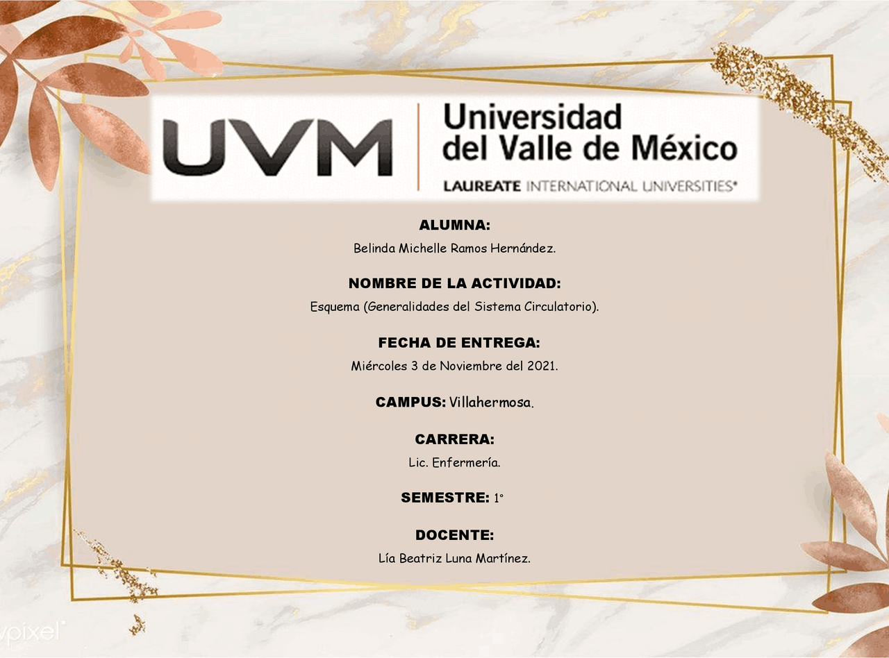 Sistema Circulatorio Diapositivas De Estructura Molecular Docsity