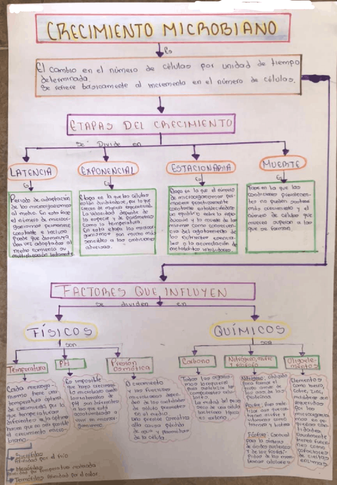 Crecimiento Microbiano Esquemas Y Mapas Conceptuales De Microbiología