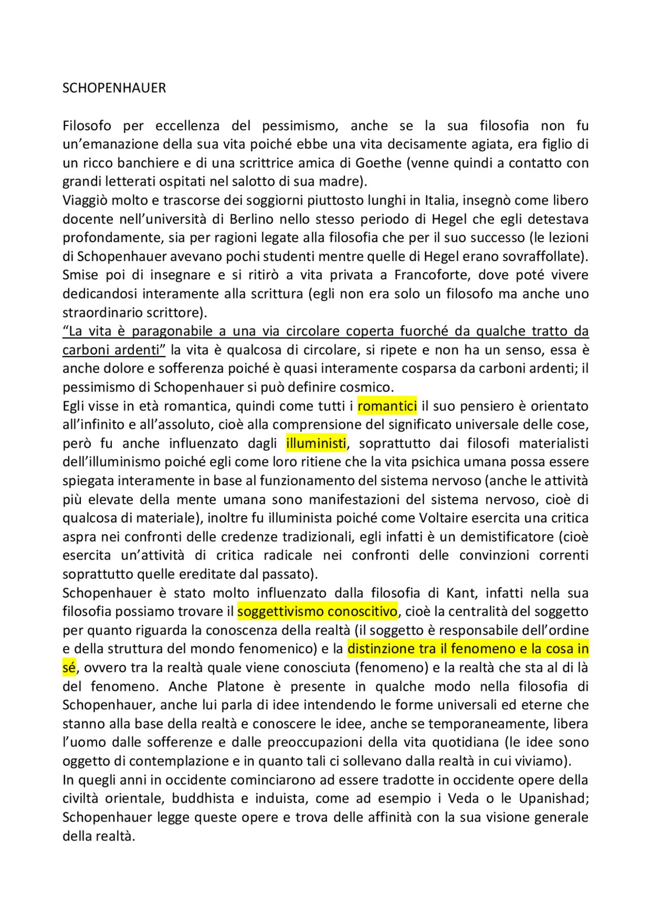 Riassunto Schopenhauer Docsity