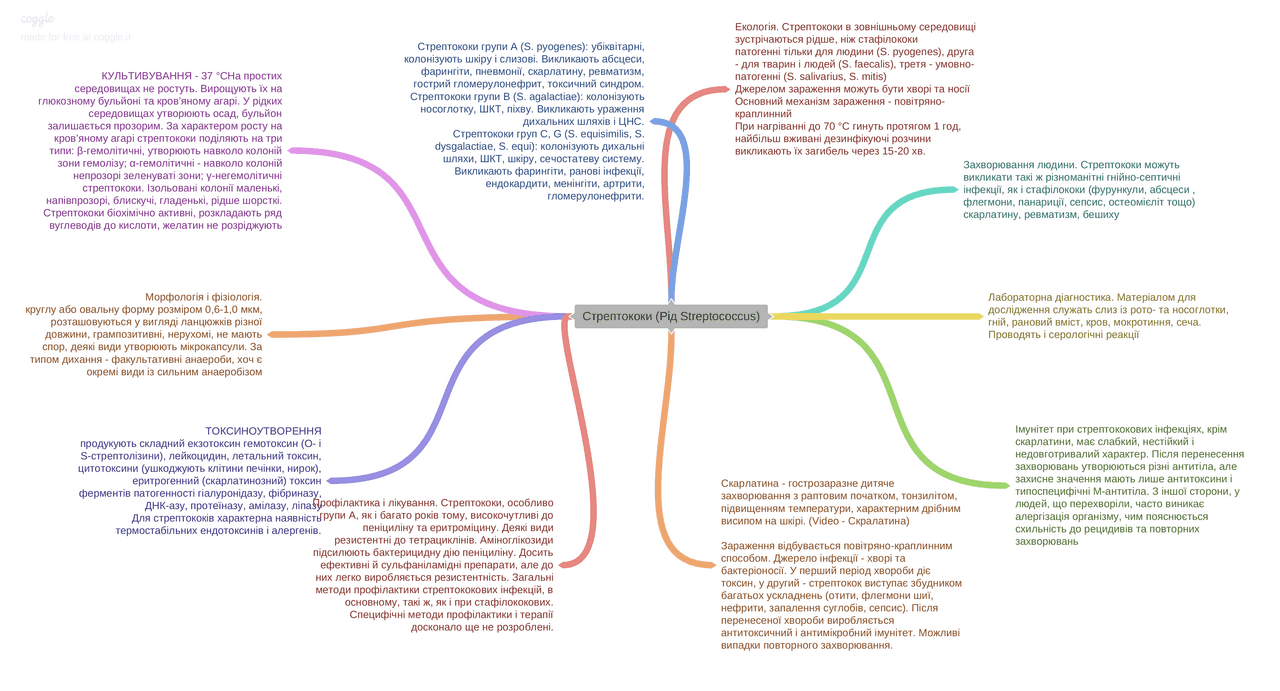 Микробиология стрептококки Streptococcus Docsity