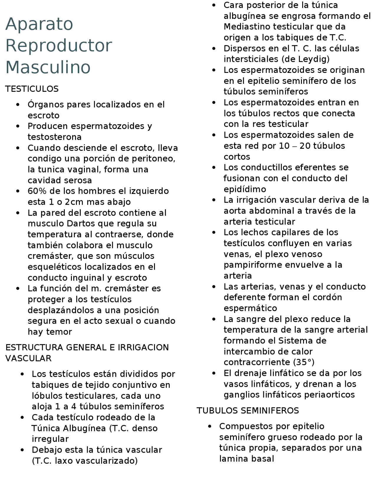 Aparato Reproductor Masculino Resúmenes De Histología Docsity