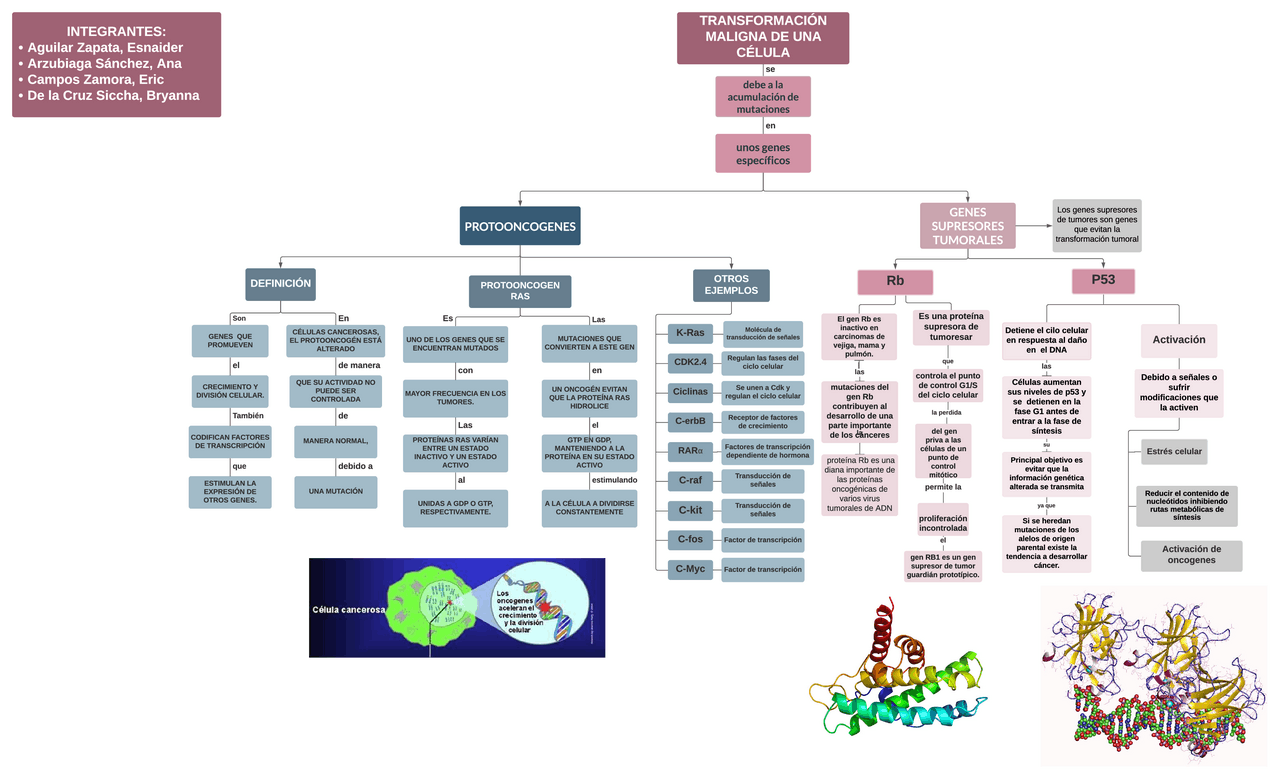 Mapa Conceptual Semana 12 Docsity