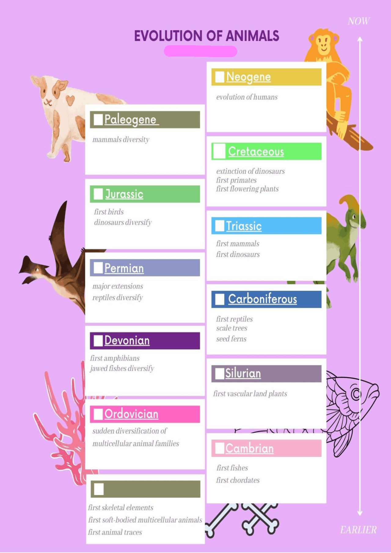 Evolution of animals - Docsity