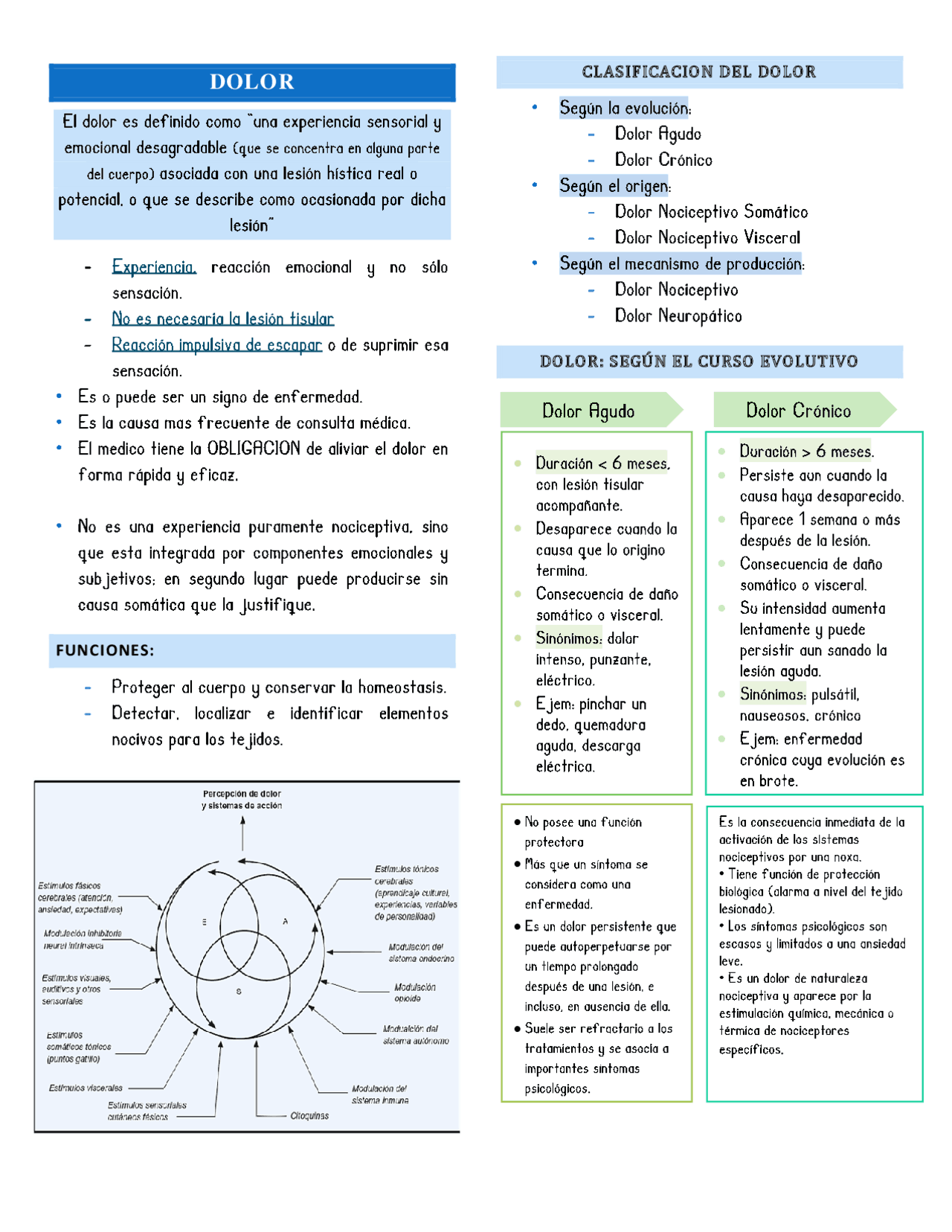 Fisiopatología Del Dolor Docsity
