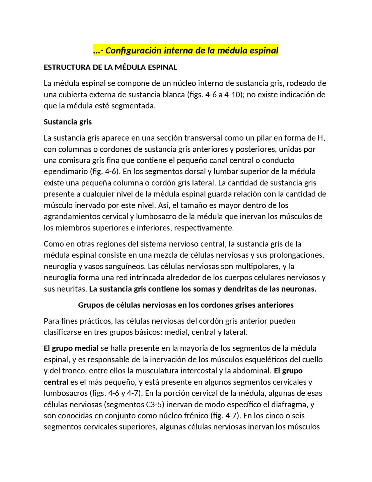 Notas Sobre La Médula Espinal Docsity