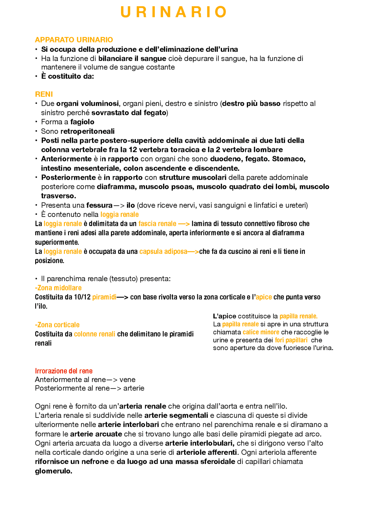 Anatomia Concetti Chiave Docsity