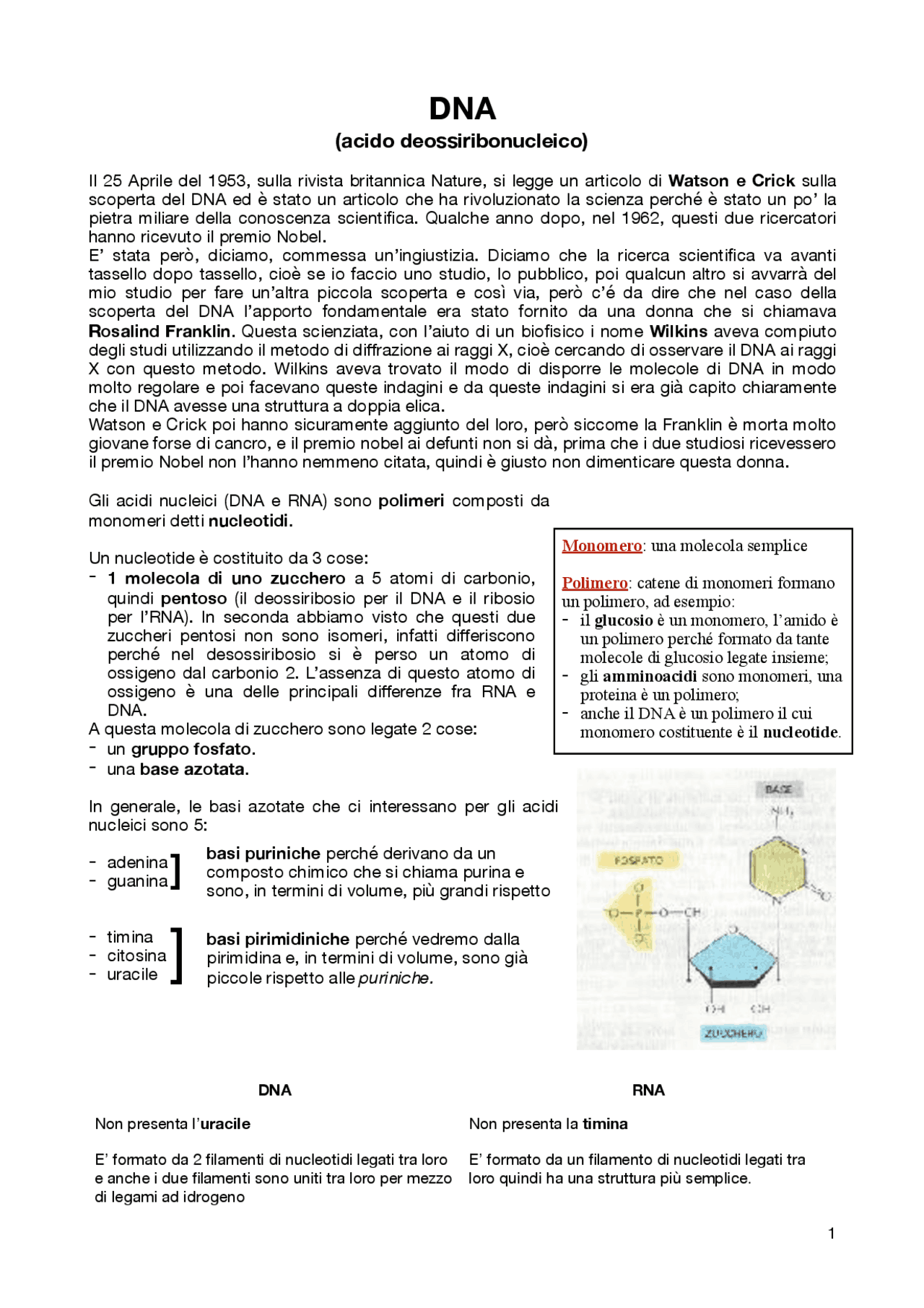 DNA - struttura del DNA, duplicazione ed errori - Docsity