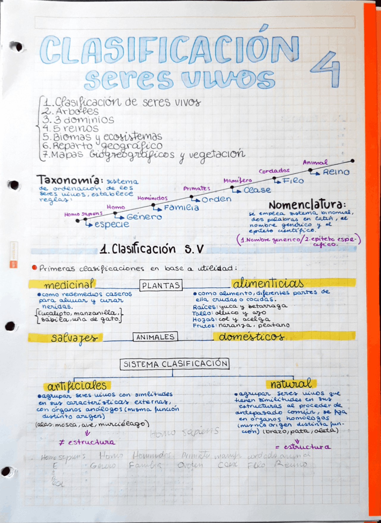 ClasificaciÓn De Seres Vivos 1°bachiller Docsity