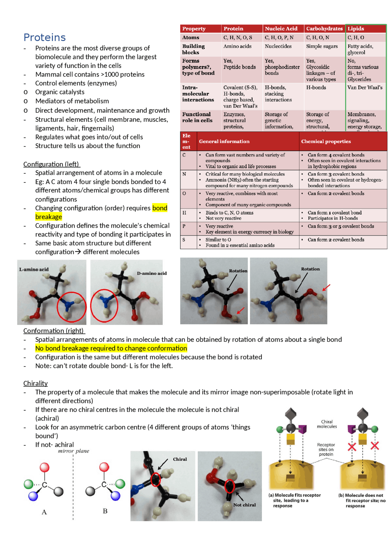 BMOL- protein structure cheat sheet | Cheat Sheet Cellular and ...