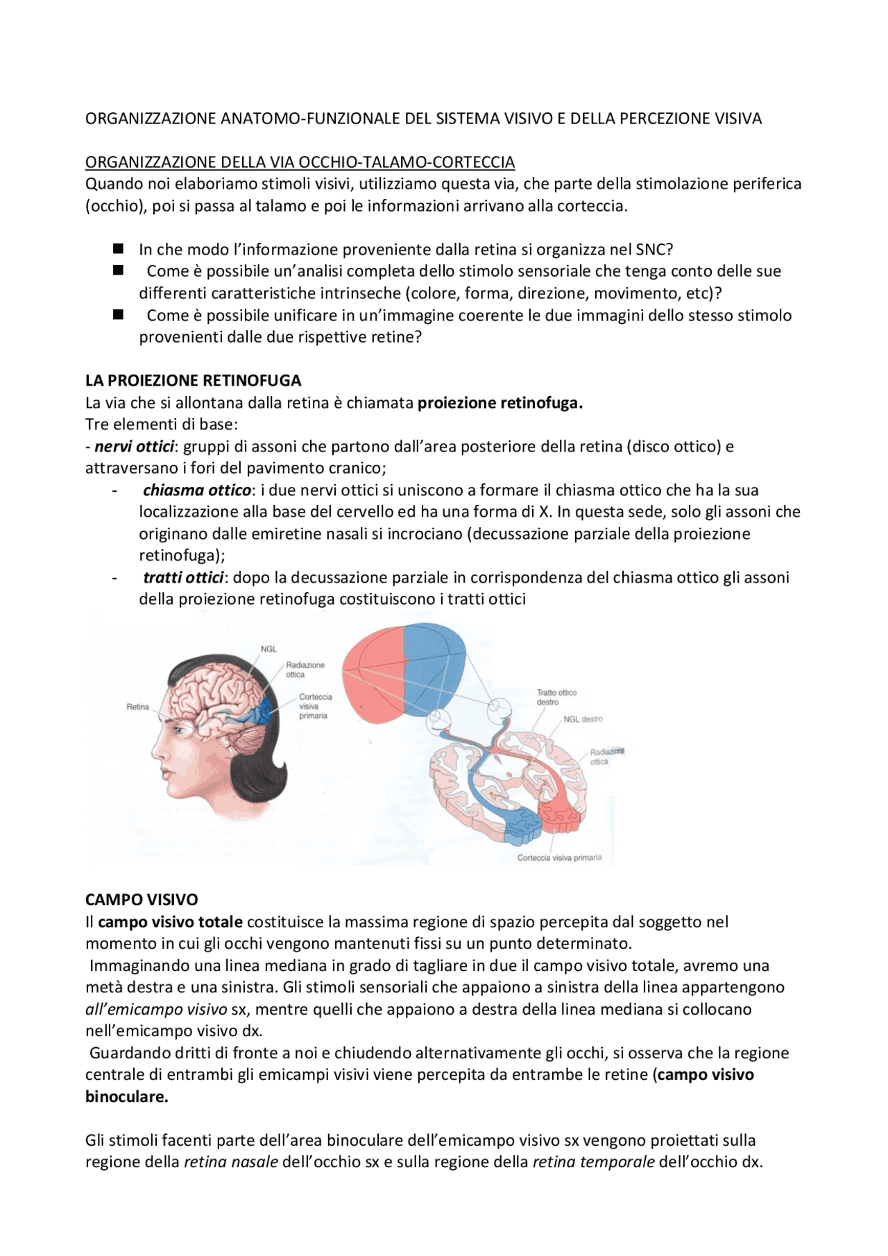 Appunti Di Psicofisiologia E Neuroscienze Cognitive Sistemi Sensoriali